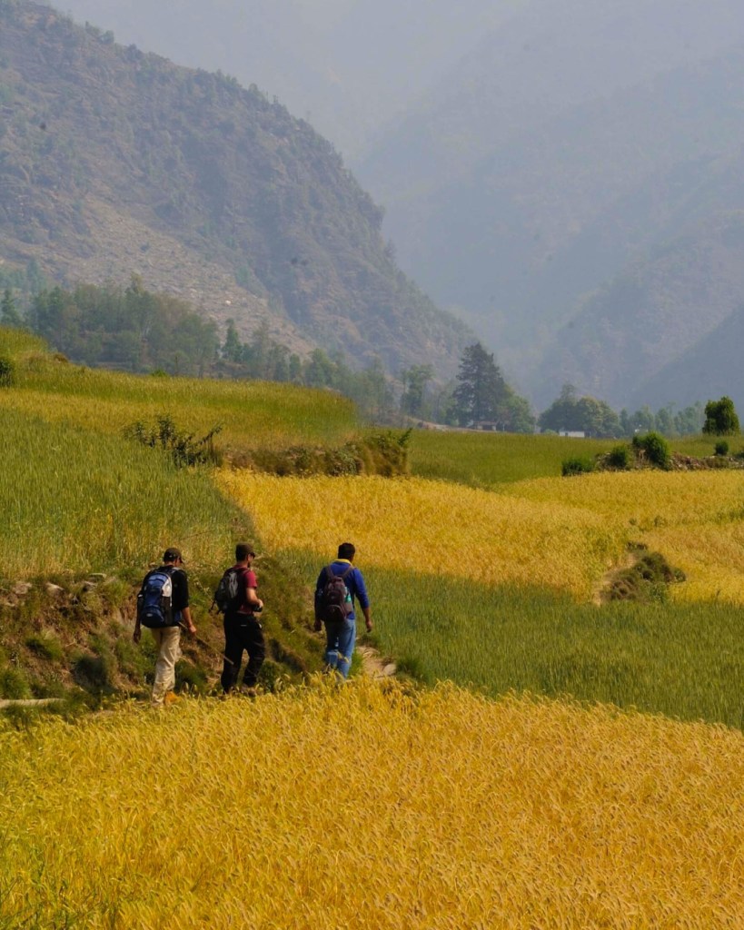 The Himalayan Ridge Trek - Responsible Holidays